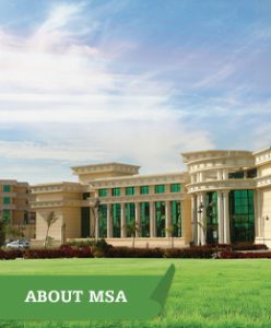 IT Technical Support – October University for Modern Sciences and Arts