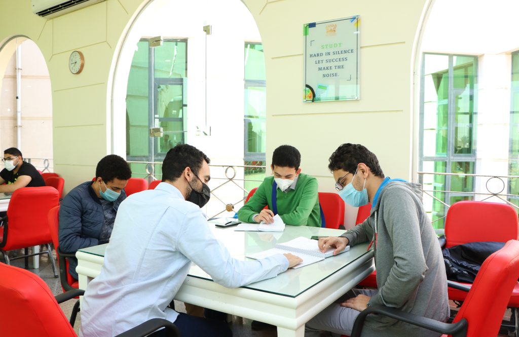 About MSA – October University for Modern Sciences and Arts