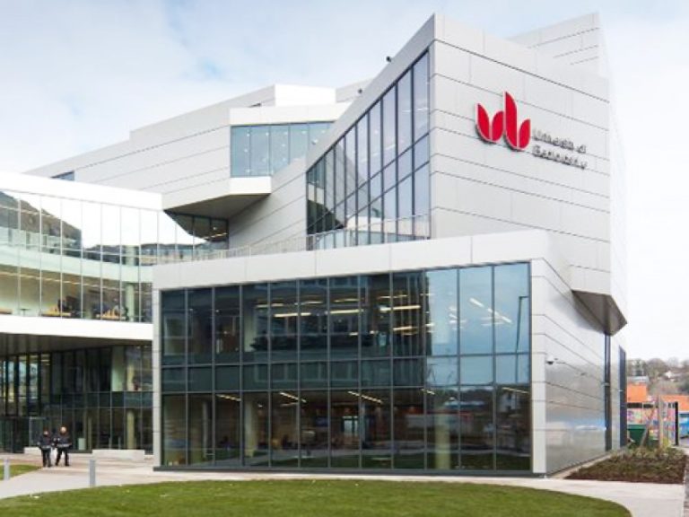 History of MSA – October University for Modern Sciences and Arts