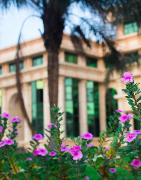 Impact of Biotechnology on Human Health Exhibition - MSA University