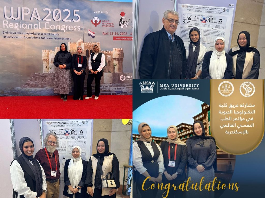 All Courses - MSA University