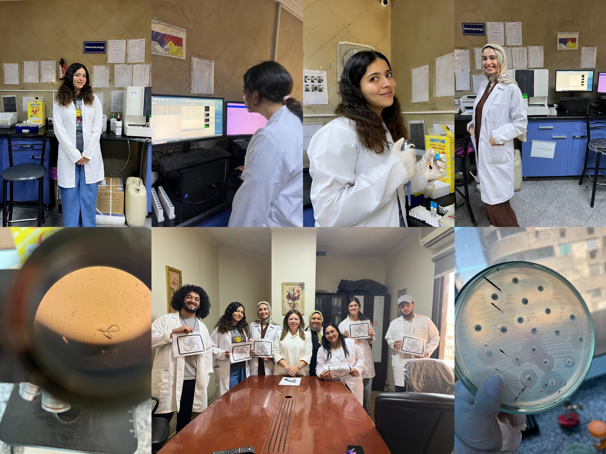 MSA Biotechnology Students Gain Hands-On Experience at Tybah Medical ...