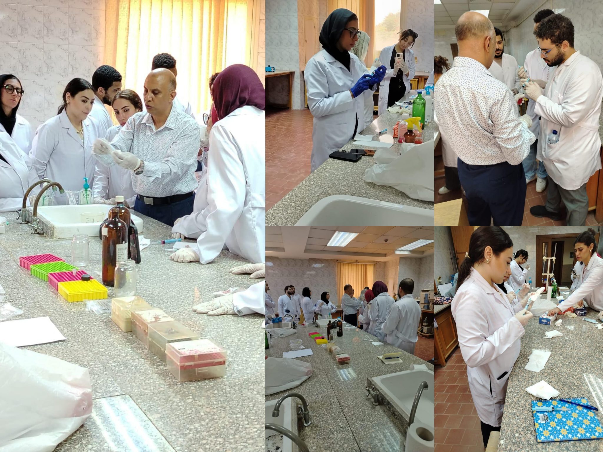 MSA’s Biotechnology Students Receive Specialized Training in Cell ...