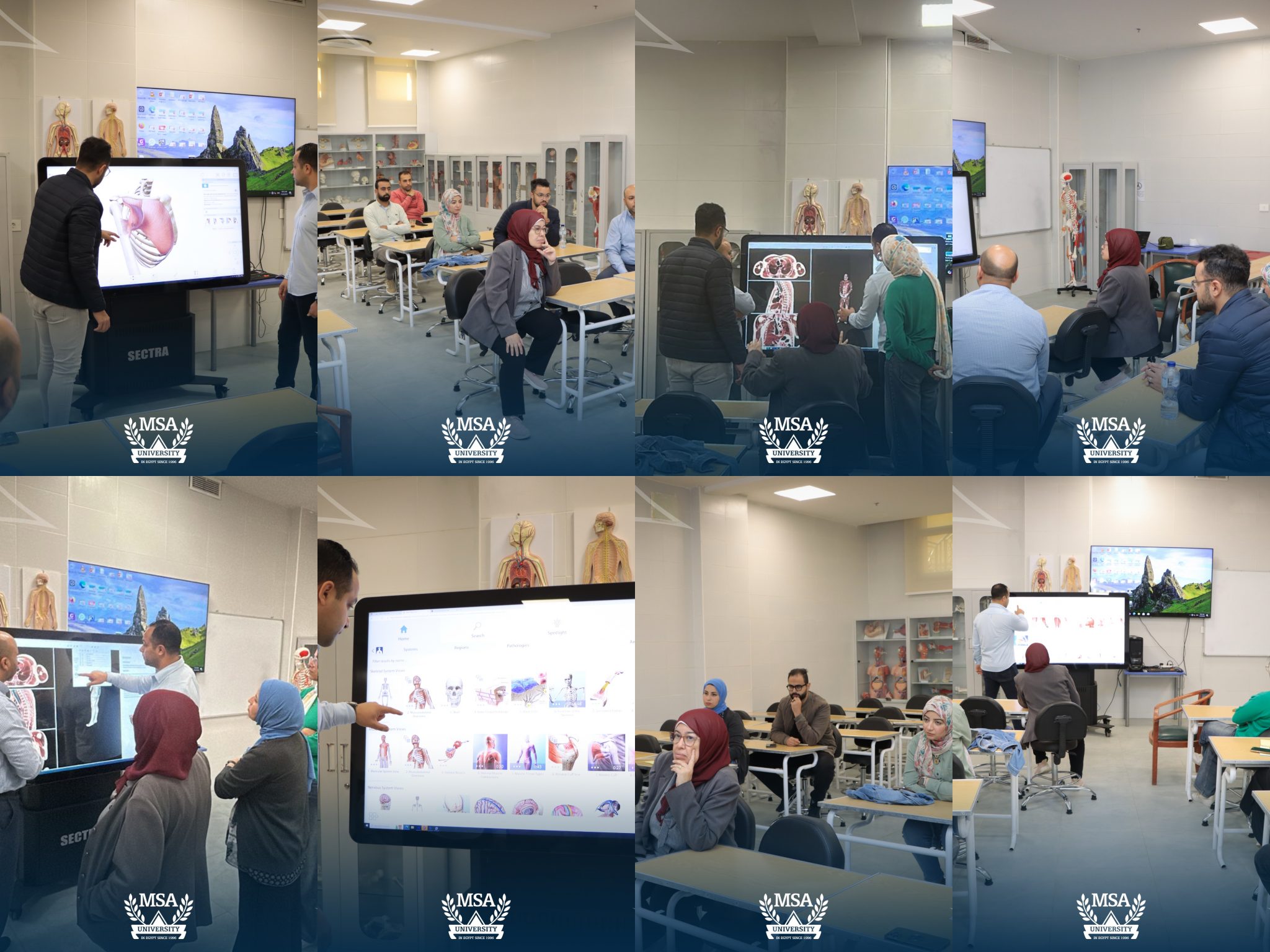 Advanced 3D Anatomy Training with Sectra Systems – MSA University