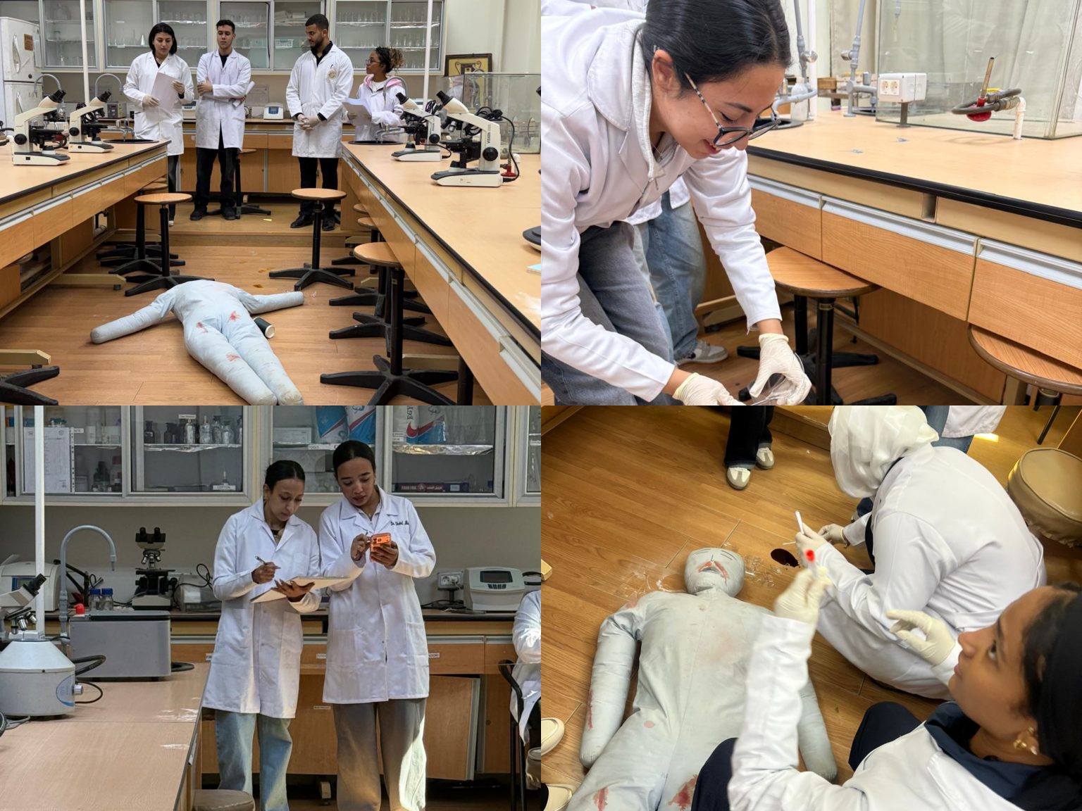 Forensic Investigation in Practice: A Case Study from the Faculty of ...