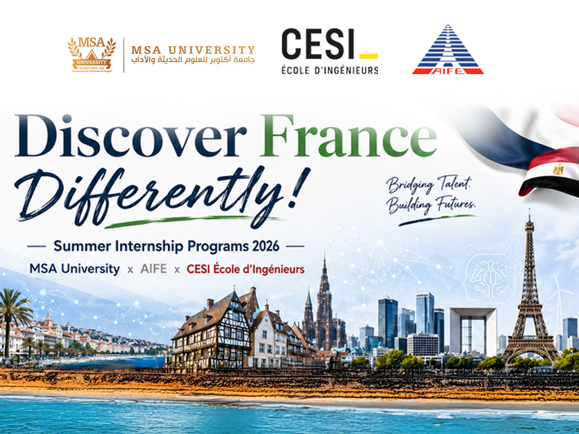 MSA University Announces International Summer Internship Opportunities ...